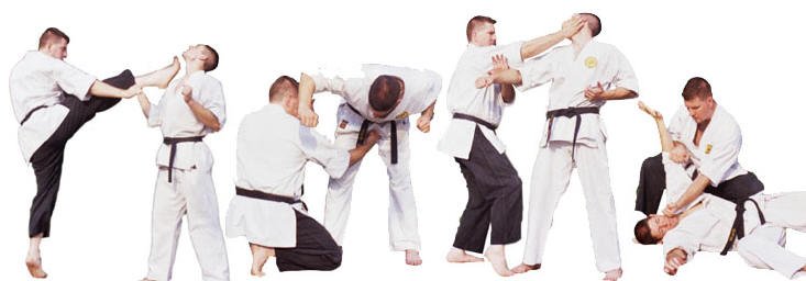 48 techniques of okinawa karate (part II) - Milos.io