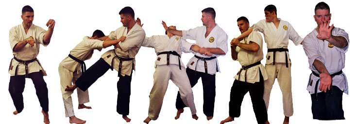 48 techniques of okinawa karate (part III) - Milos.io