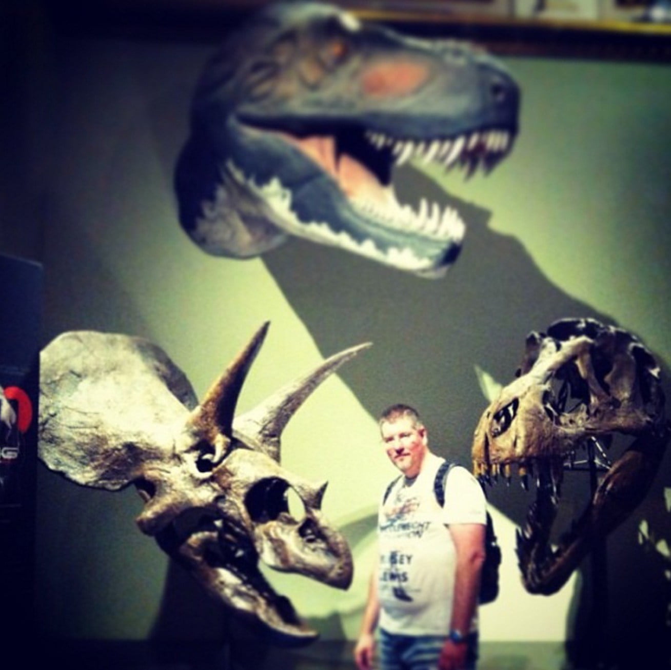 Dinosaur edition - životne priče i monasi šaolina