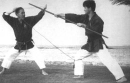 Matayoshi Kobudo Tradition - Milos.io