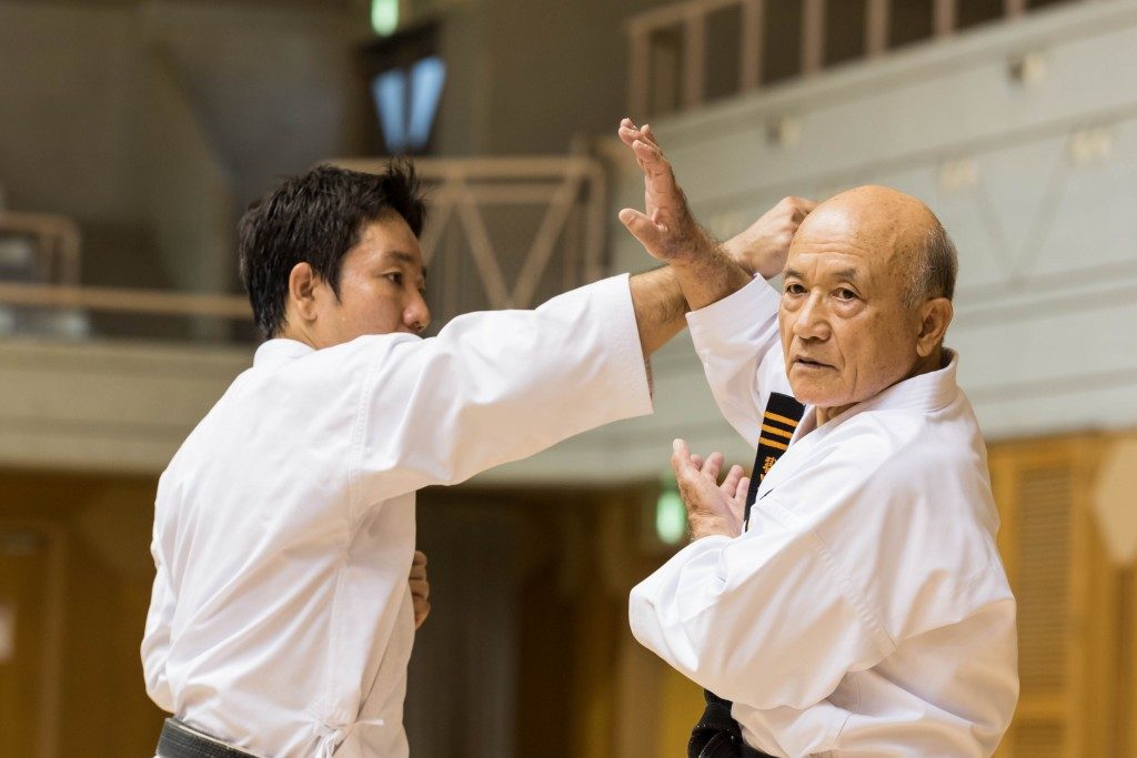 The Kata of Shorin-ryu Seibukan - Milos.io